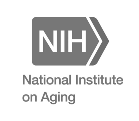 Research on Rendever | NIA Funded Study on VR Family Engagement